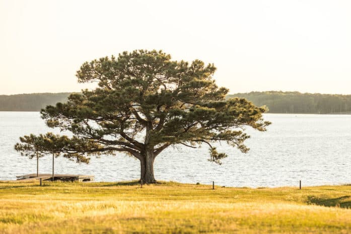 Your Guide to West Point Lake Parks | Visit LaGrange Georgia